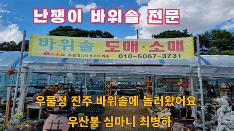 난쟁이바위솔전문 최병하가 우물정진주바위솔 견학 Youtube