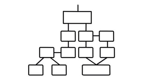 Tree Identification Flow Chart Easy