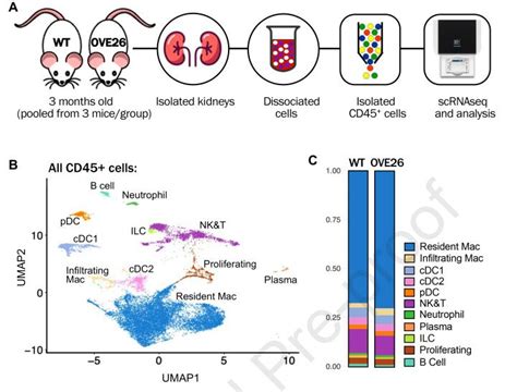 科研盘点 当糖尿病研究遇上单细胞测序技术 知乎