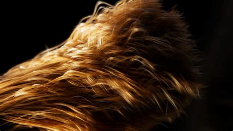 How To Render Hair Masonry Studios