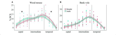 Sex Differences In Dcx Cells In Wood Mice Along The Hippocampal