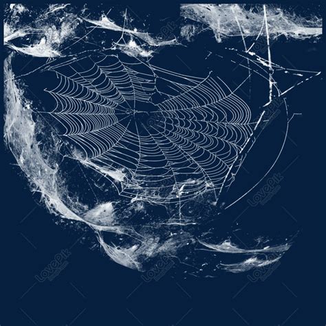 호러 거미 실크 스파이더 웹 요소 Png 일러스트 무료 다운로드 Lovepik