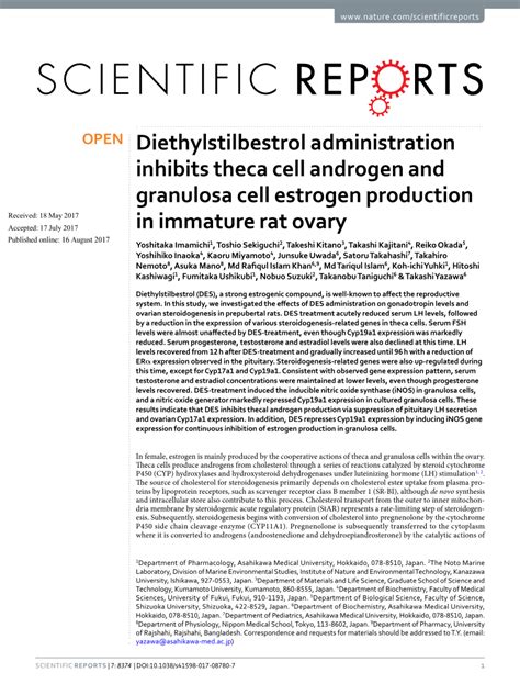 Pdf Diethylstilbestrol Administration Inhibits Theca Cell Androgen And Granulosa Cell Estrogen