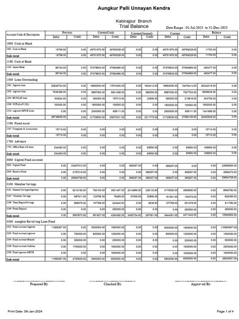 Generate Trial Balance Report Pdf Debits And Credits Private Sector