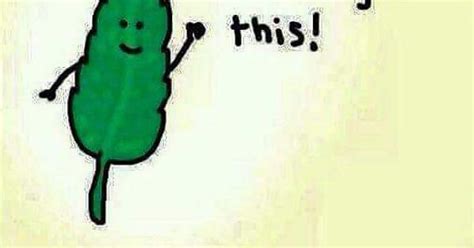 Incase You Werent Sure Album On Imgur