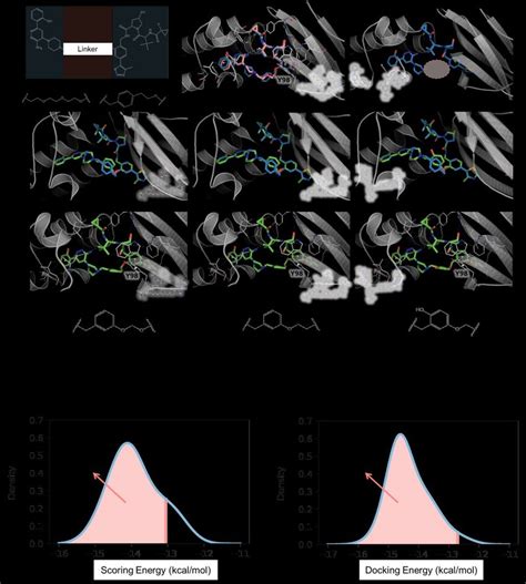 Protac Linker Design Case Study Smarca2 A 2d Chemical Structure Of