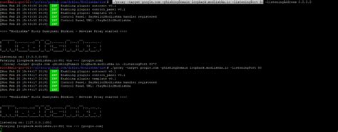 Cant Load The Webpage Help · Issue 87 · Drk1wi Modlishka · Github