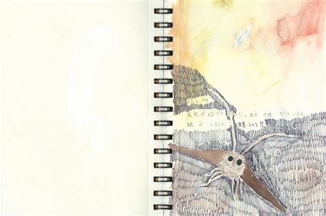 Insect Diary Natalie Meister