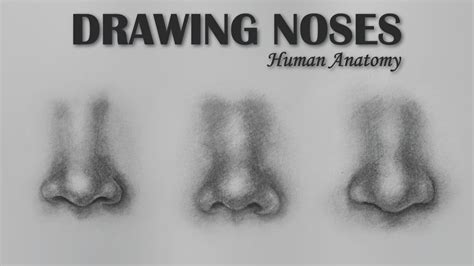 How To Draw A Nose Front View