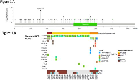 Characterizing Cdk12 Mutated Prostate Cancers Pmc