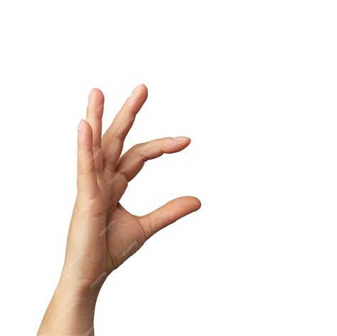 premium photo female hand raised up and conditionally holding an object