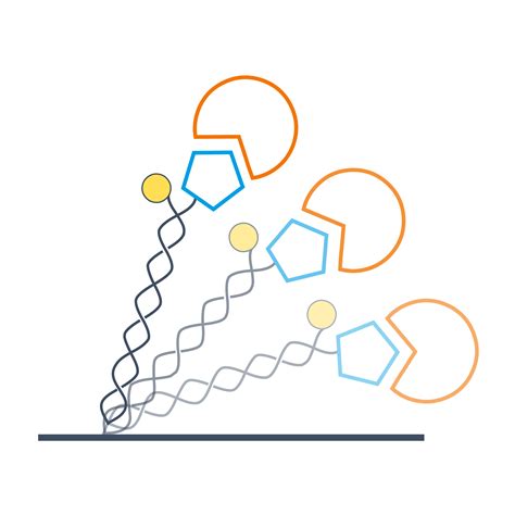 Switchsense® Biophysical Analysis With Electro Switchable Biosurfaces Dynamic Biosensors