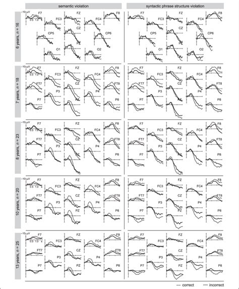 Grand Average Erps Of The Different Age Groups For The Critical Word In