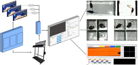 Automated Gait Analysis Conduct Science