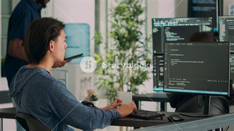 Database Programer Writing Source Code And Developing Security Server