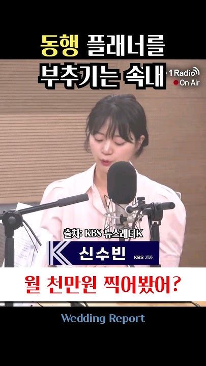 동행vs비동행 동행을 부추기는 이유 웨딩플래너 웨딩컨설팅 드레스투어 스드메 Youtube