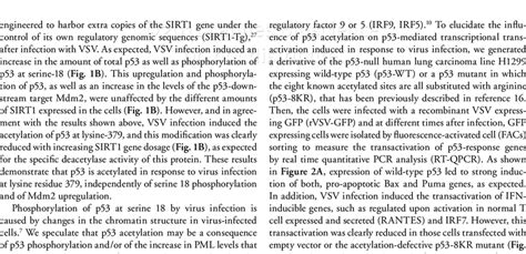 Mefs Infection With Hsv 1 Or Vsv Induces P53 Acetylation A Wt Mefs