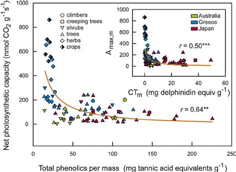 Fit Of Reciprocal Model And Regression Coefficient For Net Download Scientific Diagram