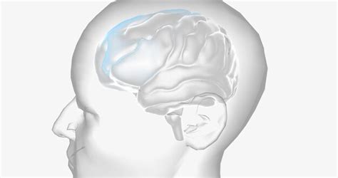 Premium Photo The Attention Deficit Hyperactivity Disorder