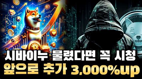 시바이누 역대급 랠리 준비중 풀 매수하세요 Youtube