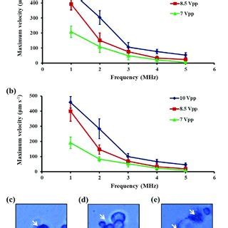 The Quantitative Relationship Between The Maximum Velocity Of A Moving Download Scientific