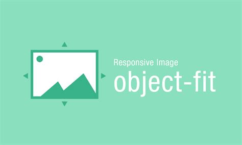 テーブルのセルを均等幅でレイアウトしたい場合 Designmemo（デザインメモ） 初心者向けwebデザインtips