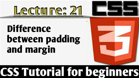 Difference Between Padding And Margin Lecture Css Tutorial For Beginners In Urdu Hindi