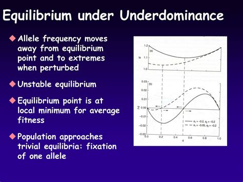 Ppt Lecture 8 Selection In Real Populations Powerpoint Presentation Id 4741443