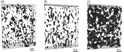 Three Dimensional Reconstructions Of Pore Networks In A T1600 B