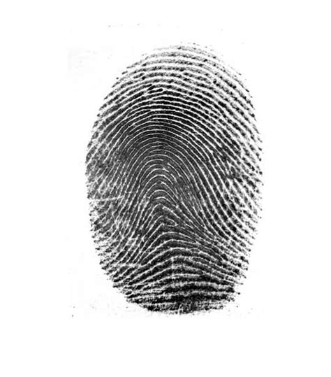 the input and thinning preprocessing for the fingerprint image