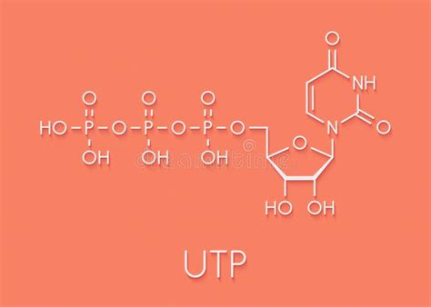 Uridine Triphosphate Utp Nucleotide Molecule Building Block Of Rna Skeletal Formula Stock