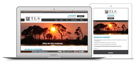 Tls Reporting Inc Website Design Portfolio