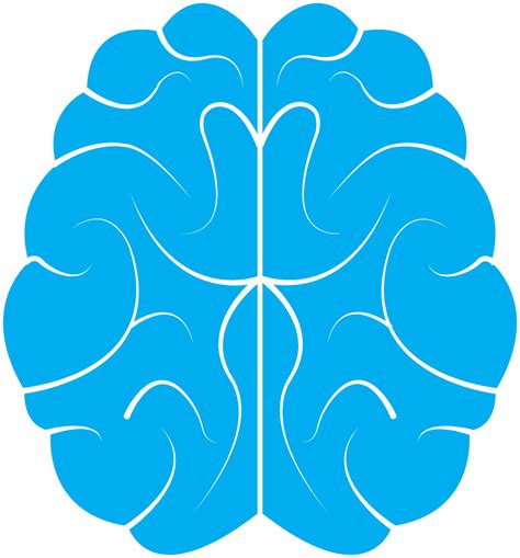 Left Brain Vs Right Brain Learning Styles Skeptikai