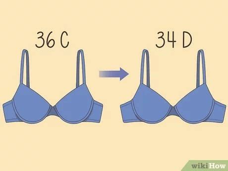 How To Measure Your Bra Size The Right Way Measure Bra Size Correct Bra Sizing Bra Fitting Guide