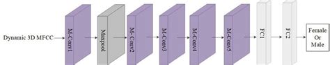 The Proposed MCNN Architecture For Gender Recognition Download Scientific Diagram