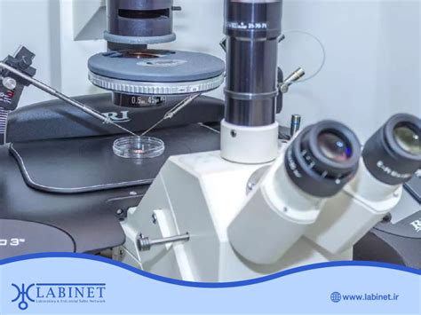میکروسکوپ استریو Ivf چیست؟ موارد استفاده Ivf Stereo Microscope