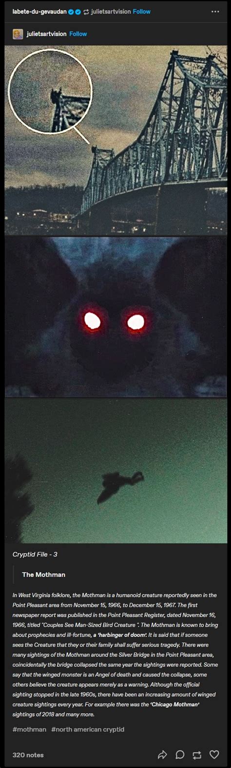 About Misfortune And Cryptids R Curatedtumblr