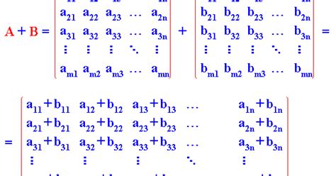 MATRICES INTRODUCCIÓN