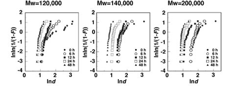 Size Distribution Of The B Tcp Aggregates Download Scientific Diagram