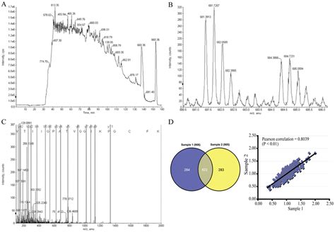 Protein Samples From Lx2 Mir 27a And Lx2 Mir Neg Were Compared By Download Scientific Diagram