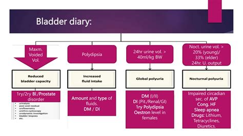 Urodynamic Studies Overview And Examplespptx Digestive Disorders