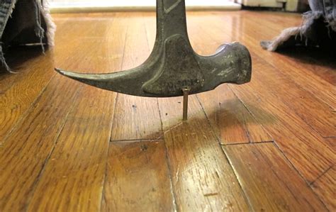 How To Fix Noisy Hardwood Floors Floor Roma