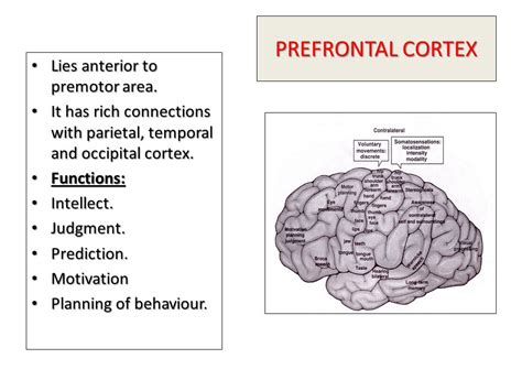 By Prof Saeed Abuel Makarem Ppt Video Online Download