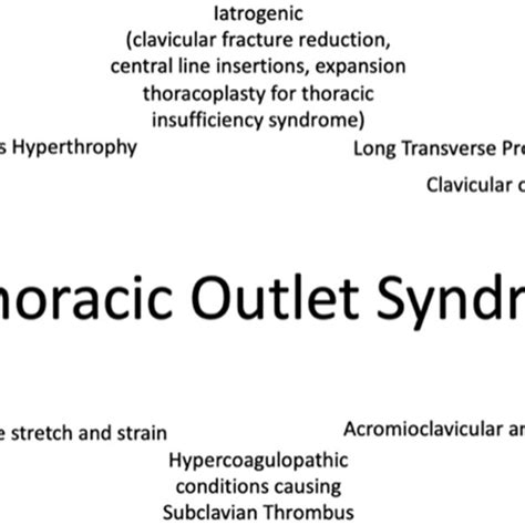 Preparation Of The First Rib Before Resection Sa Subclavian Artery