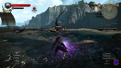 The Witcher 3 Wild Hunt Birna Bran Died On A Rock Ester Egg Youtube