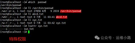 linux权限 特殊权限 linux chown r命令 access csdn博客