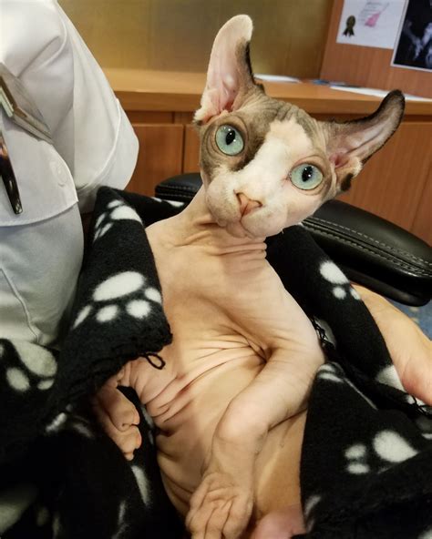 Bug Naked Bugnaked • Instagram Photos And Videos