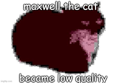 Maxwell The Cat Memes Imgflip