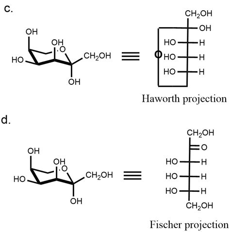 [solved] Please Answer 5 For The Molecule Below Respond To The Following Course Hero