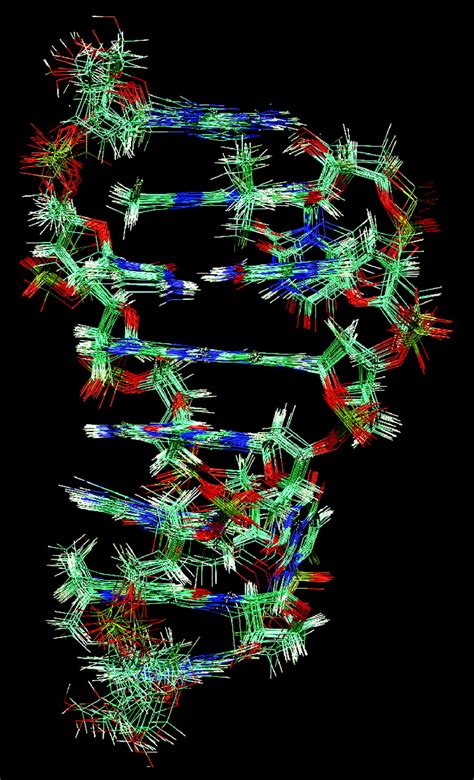 Overlay Of 20 Lowest Energy Structures Of 62 As Obtained By Download Scientific Diagram